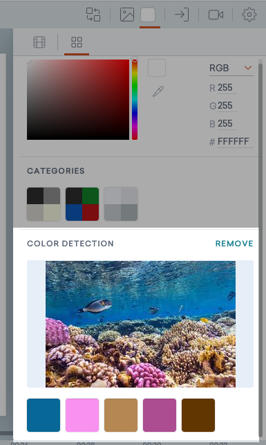 Color Palette Detection – Help Center