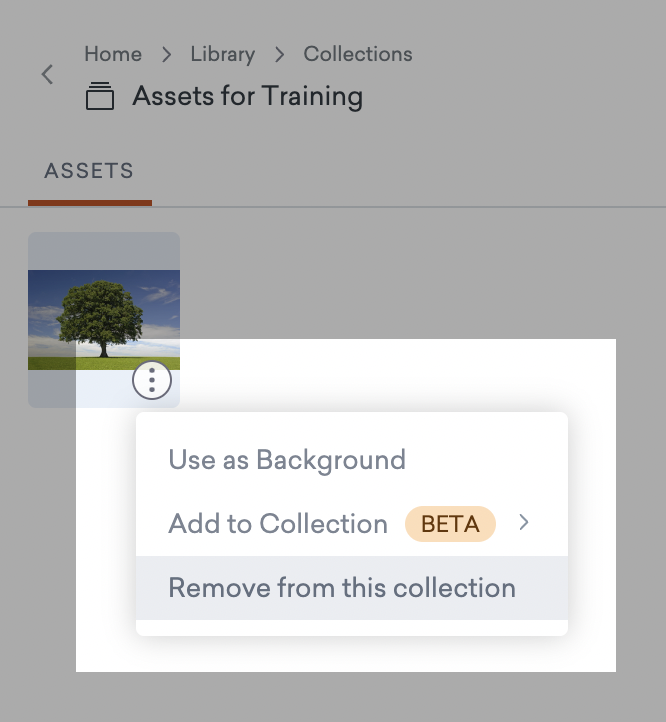 Organizing assets with Vyond Collections! (Beta) – Help Center